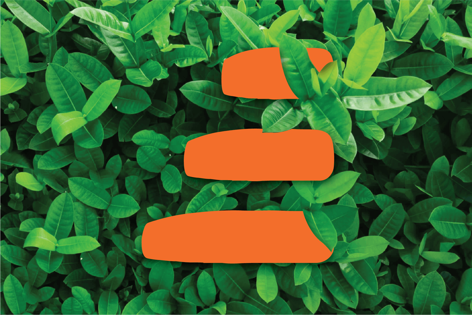 Our Eco-Promise – Steps With Children